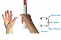 7 Easy Steps to a Powerful Forehand - Tennis Uni